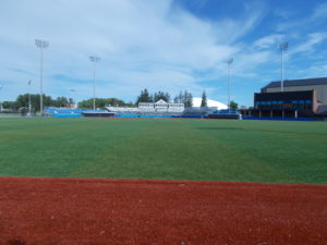 Mahaney Diamond - Stadium Savant